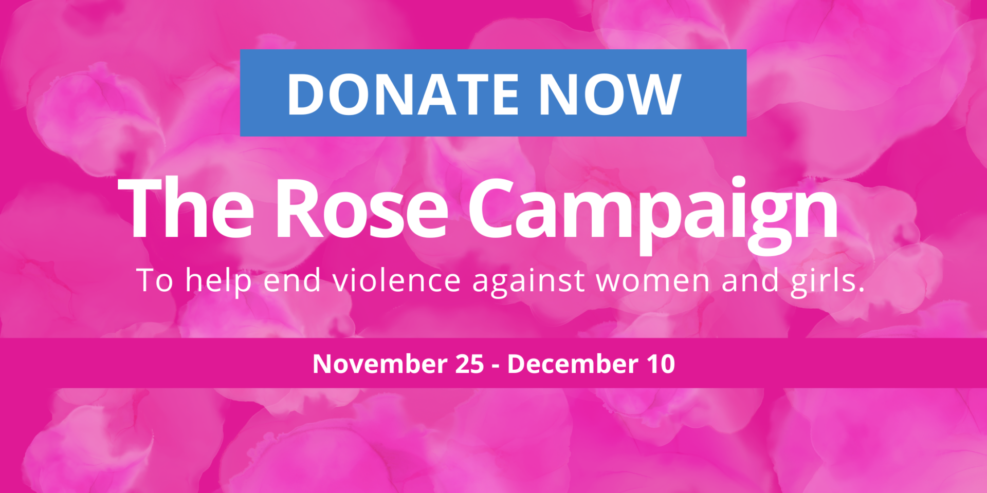 Rose Gift - YWCA